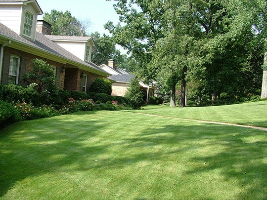 Pesticide Safety and Use Part 3/Household and Wood Destroying Pests ...